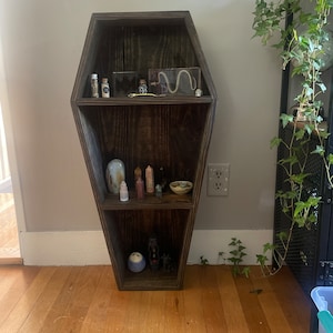 52 Inch Coffin Bookshelf, Goth, Spooky, Home Decor, Bookcase, Mystic ...