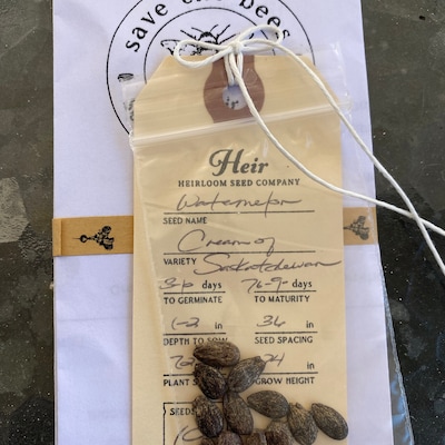 Jimmy Red Corn Heirloom 40 Seeds - Etsy