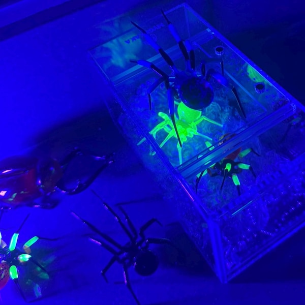 Blown Glass Figurine Art Insect Black SPIDER, Art Glass Spider Figurine ...