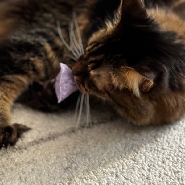 Catnip Filled Cat Mat, in the Garden- 14"x19" - Etsy