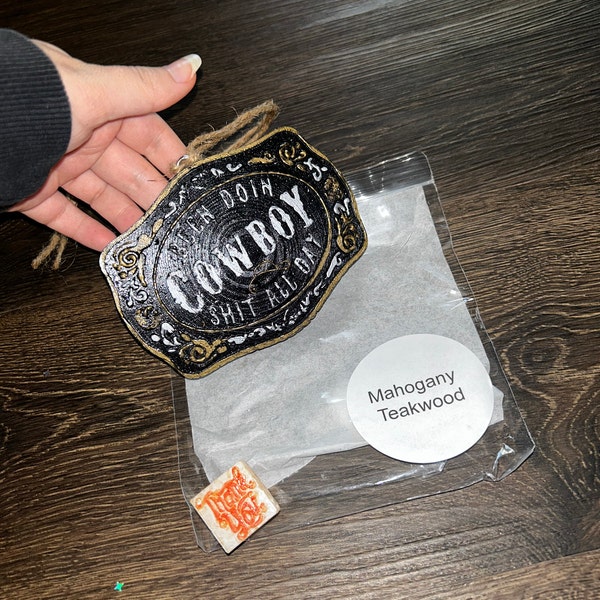 Cactus/succulent Pot - Car Freshie - Etsy