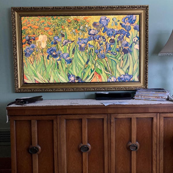 TV Screen Protector for Sony Tvs. Special Dimensions for All Models ...