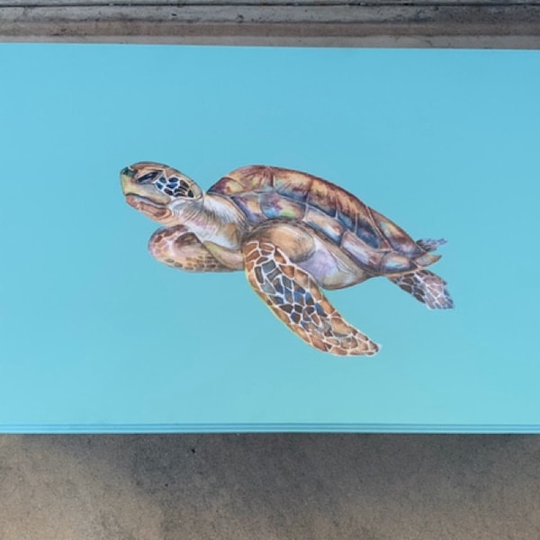 Watercolor Rainbow Sea Turtle Wall Decal Ocean Sea Life Removable ...