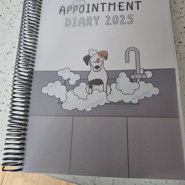 2025, A4, Appointment Diary Day per Page or Order Book (NO TIMES), Foil ...