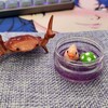 Super Cute Mini Desk Pet Adoption restocked 12/22/23 - Etsy