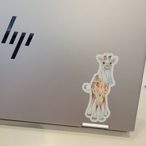 California Otter Sticker - Etsy