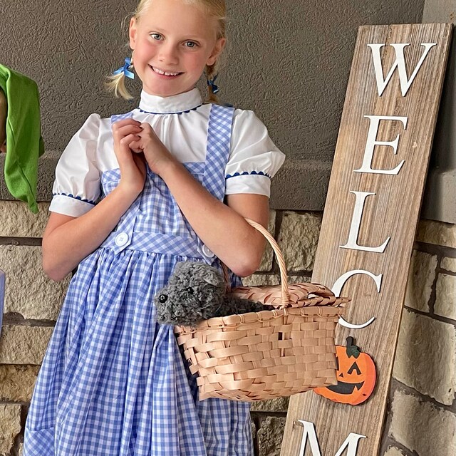 Petticoat Dress Classic Dorothy Wizard Of Oz Costume For Girls - Blue ...