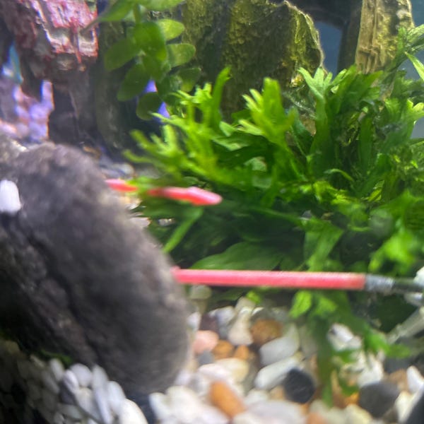 Jason Voorhees Aquarium Decor - Etsy