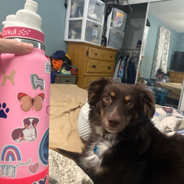 Cute Puppy Stickers - Australian Shepherd Puppy - Red Tri Aussie - Cute ...