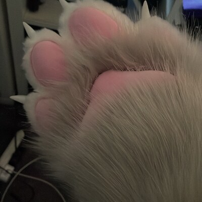 Custom Furry Cat Hand Hooves With Claws, Cosplay Furrysuit Paws for ...