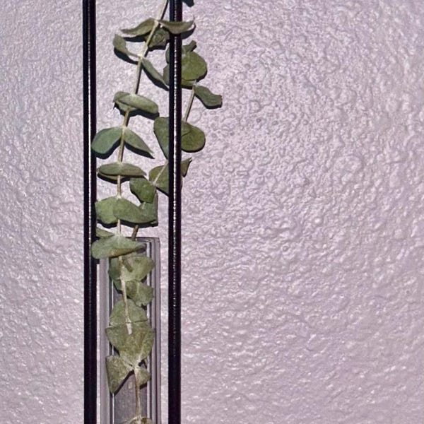 Florence Hanging Pendant Tube Vase With Wall Hook | Elegant Glass Wall ...