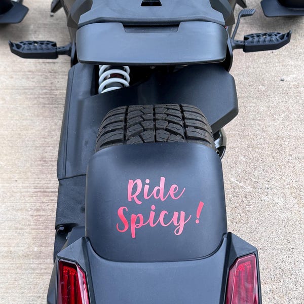 Hood Panel Decals Name Decals Ryker Motorcycle Custom Vinyl Decal ...