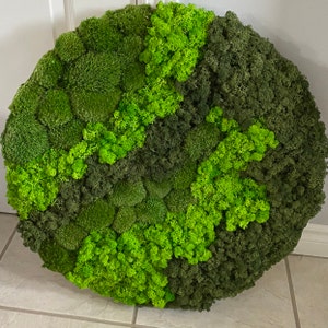 Moss Frame. Green Wall Art. Wall Decor. Preserved Moss. | Etsy