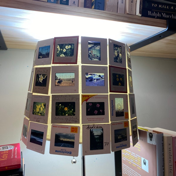 Regal Military Cat Commander - Cat in Uniform Portrait, Noble Feline ...