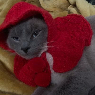 Little Red Riding Hood Cat Costume, Halloween Pet Costume, Cat Hoodie ...