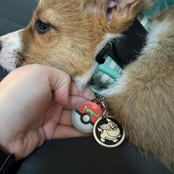 Pet ID Tag | "clark" - Nautical Compass Explorer Dog Tag, Double Sided ...