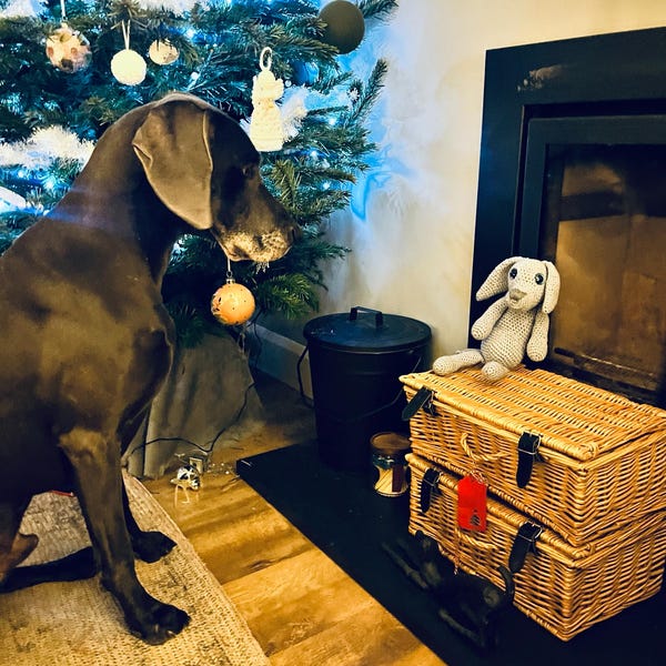 Squashed Rat Bookmark, Hand Crocheted, Quirky Mouse Bookmark, Ideal ...