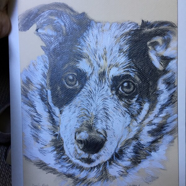 DOG POTRAITS, CUSTOM Dog Drawings, Hand Drawn and Painted Samples - Etsy