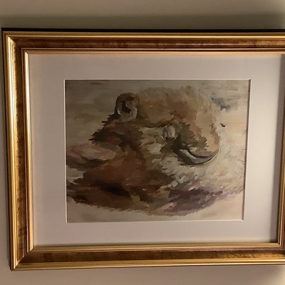 Angus Cow Print Angus Calf Print Print Nursery Calf Print - Etsy