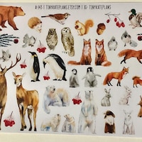 Tiny Step Tracker Dot Planner Stickers, Colorful Mini Shoe Dot Planner ...