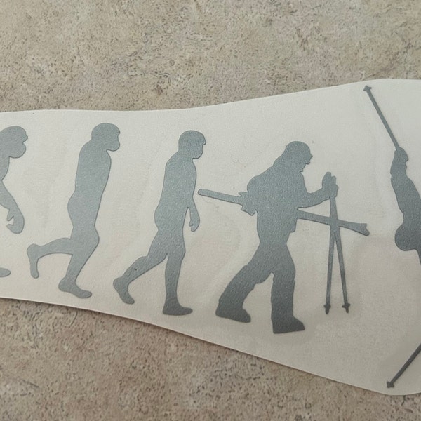Silver Ski Evolution Sticker - Etsy
