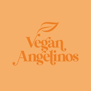 Wild Mango Font Serif Font Modern Font Boho Font Branding - Etsy