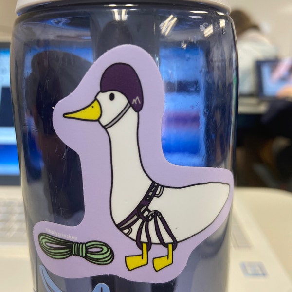 Florida Lawless Swampland Sticker - Etsy