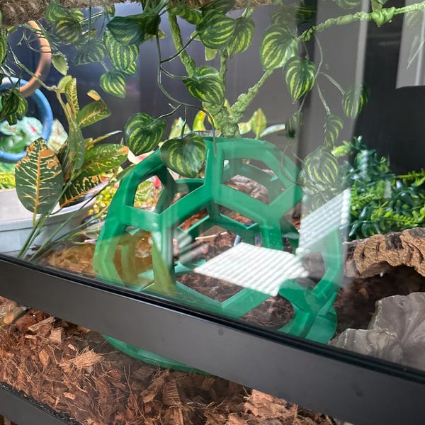 Python Playground: Snake & Boa Constrictor Enrichment Jungle Gym - Etsy