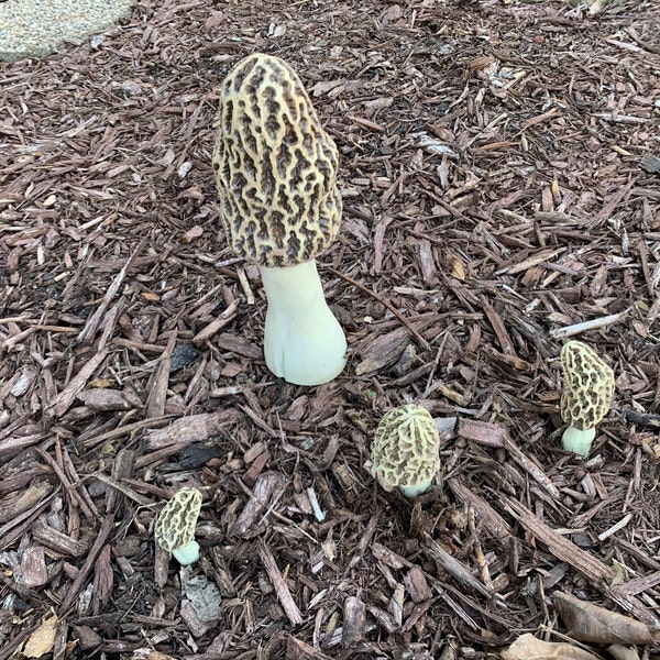 Giant Morel Mushroom for Landscape, Flower Bed or Garden. Handmade ...