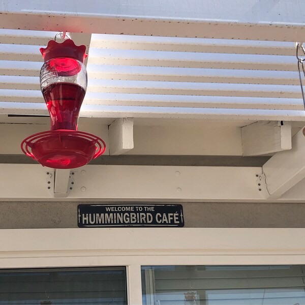 Bird Feeder Sign - Welcome to the Songbird Cafe - Backyard Songbird ...