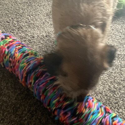 The Metre Long Snuffle Snake A Long Lasting Slow Feeder Dog Enrichment ...