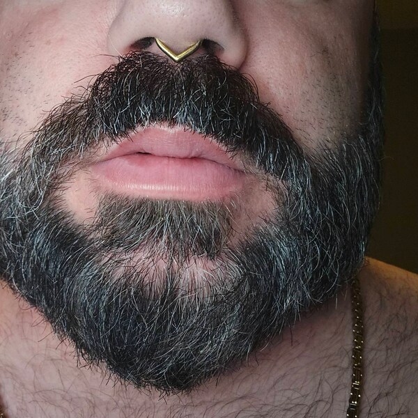 HALF GOLD / SILVER (4G, 5G, 6G, 7G, 8G, 10G, or 12G) Anodized Astm F136 ...