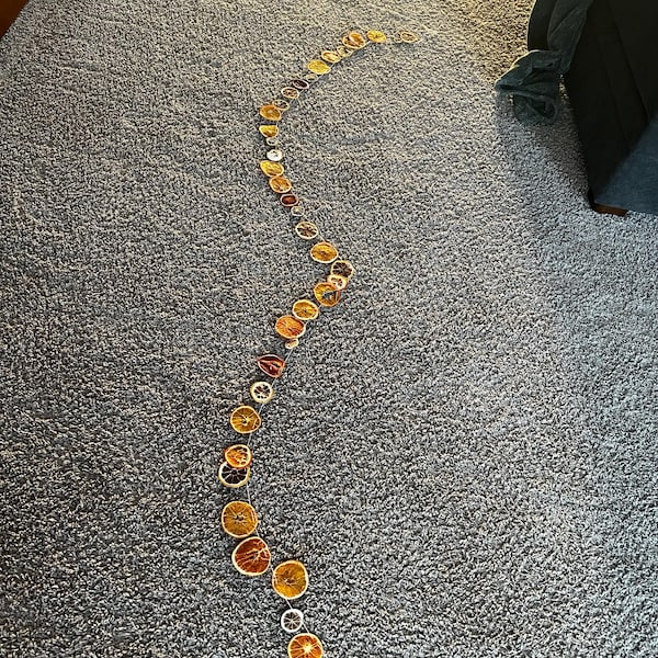 50 Pieces of “imperfect” Naval Oranges. Fresh, Ships Fast…. - Etsy