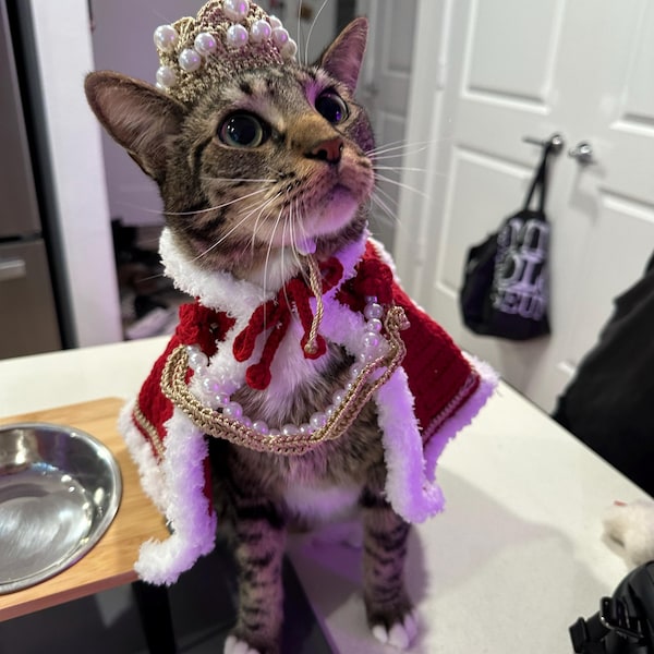 Royal Prince Nobility Clothes for Cats, Prince Crown for Cats, Handmade ...