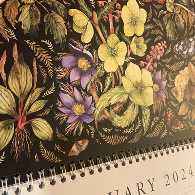 Original Poplar Hawk Moth Illustration Original Illustration ...