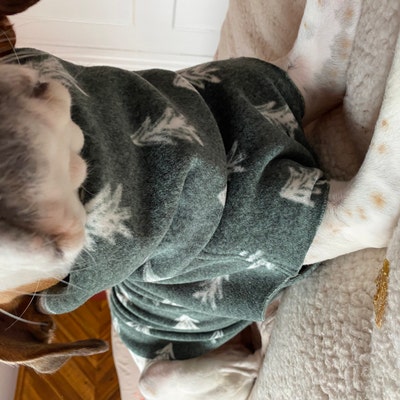Dog Fleece Polo PDF Sewing Pattern Sizes XXS to 3XL 8 Sizes - Etsy