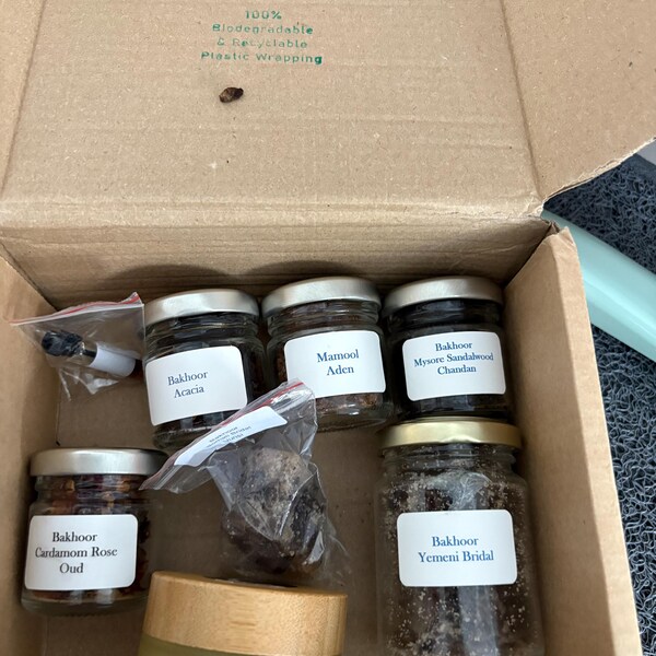 Onycha-operculum Hard - Operculum Shells, Sea Shells, Devils Nails ...