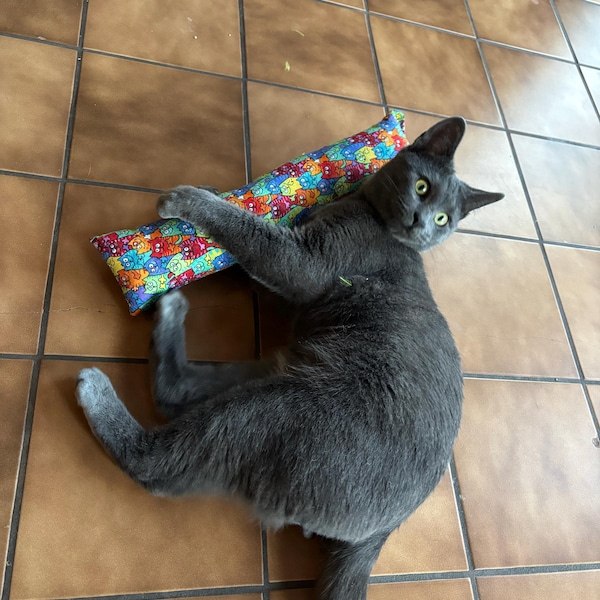 16” Catnip Toy - Large Kicker - Cat Toy - Cat Gift - Organic Catnip ...