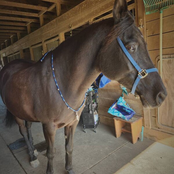 Rhythm Beads for Horses,horse Necklace,speed Beads,gift for Horse Lovers,calming Beads for ...