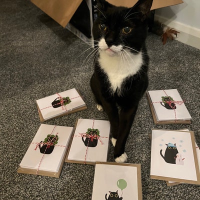 Black Cat Mother's Day Card Card From the Cat Mum Black Cat Card Nan ...