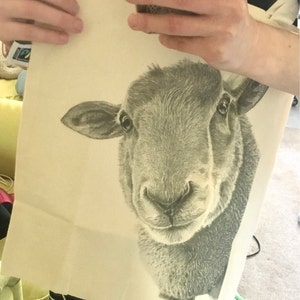 Cow Art Print Hand Drawn Animal Pencil Drawing A4 / A5 Nature Wildlife ...