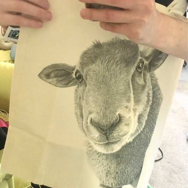 Pygmy Goat Art Print - Hand Drawn Animal Pencil Drawing A4 / A5 Sizes ...