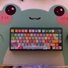 Custom Keycaps 127 Pcs Mac Set for Gamers Apple Theme Classic for ...