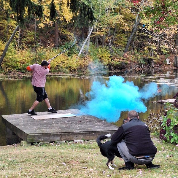 18LB Powder Box Target™ Shooting Target Gender Reveal Creative Gender ...