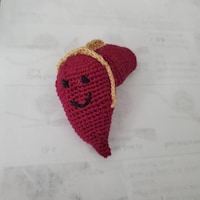 Crochet Anatomical Stomach- PDF PATTERN | Crochet Anatomy, Body Parts ...