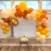 First Trip Around the Sun Boho Sun Balloon Garland 1st Birthday Party ...