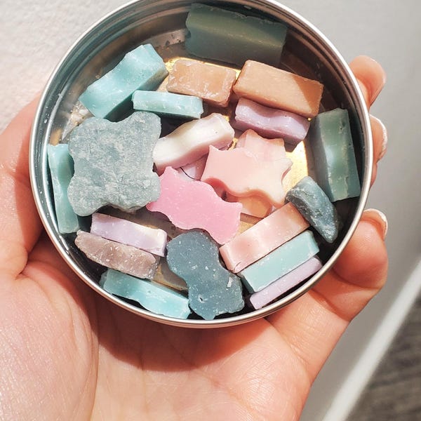 Mini Soap Bars To-go, on the Go, for Camping, Road Trips, Hotel Stays ...
