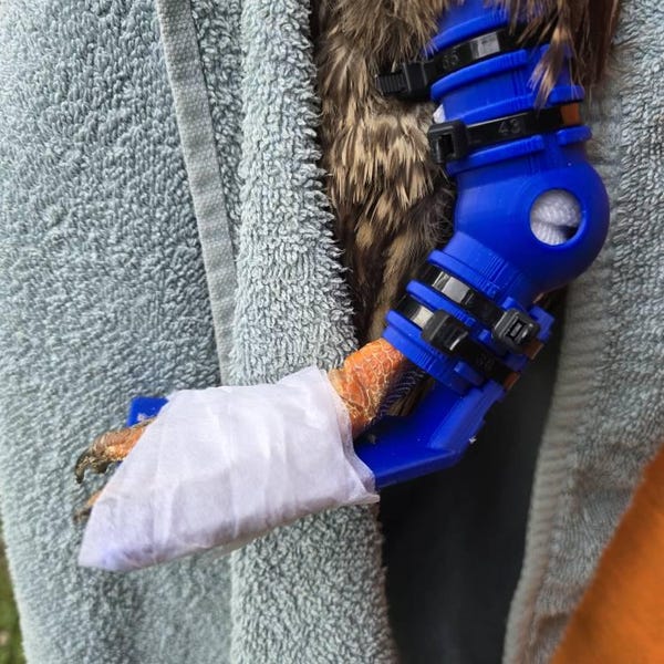 Full Leg and Foot Splint for Chicken or Duck - Etsy