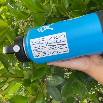 Monarch Butterfly Mini Pack Vinyl Matte - Etsy