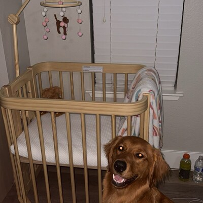 Dog Baby Mobile, Labrador Mobile Nursery, Golden Retriever Mobile, Baby ...